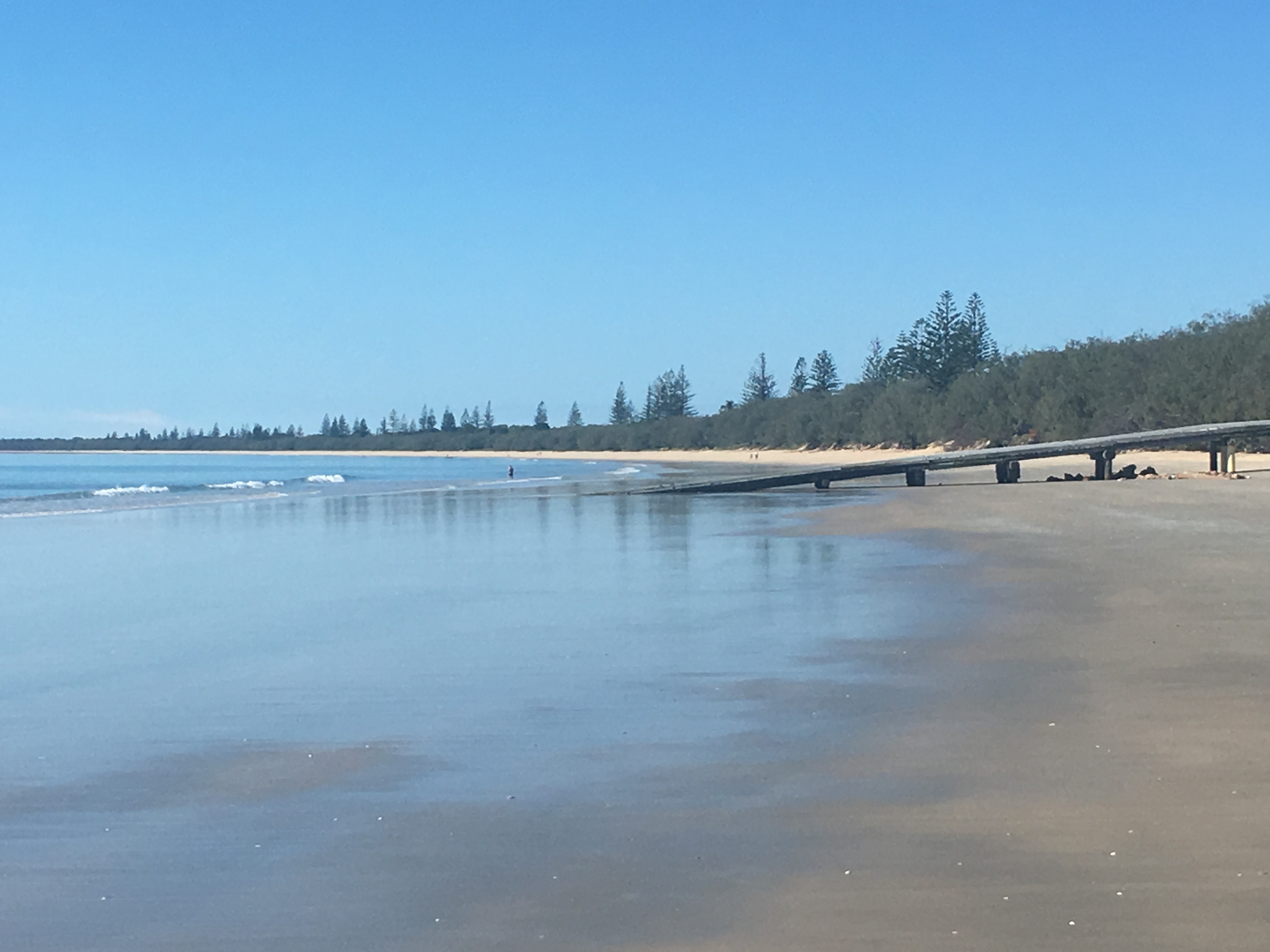 A1 Realty Woodgate Beach Best Holiday Accommodation - A MASSIVE 1982M2 ...