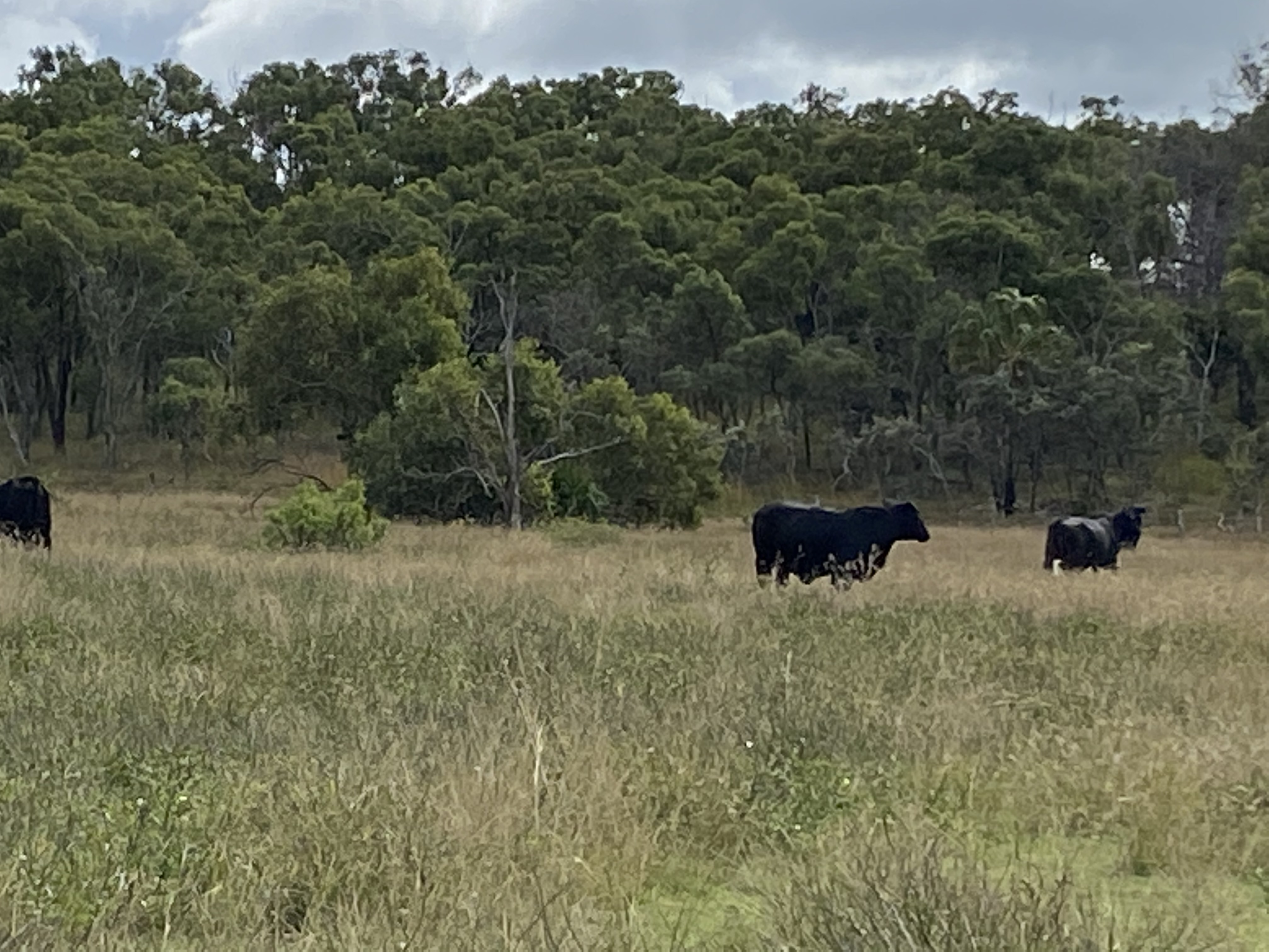 Are You A Big Thinker? Develop Rural Lifestyle Blocks Overlooking The ...