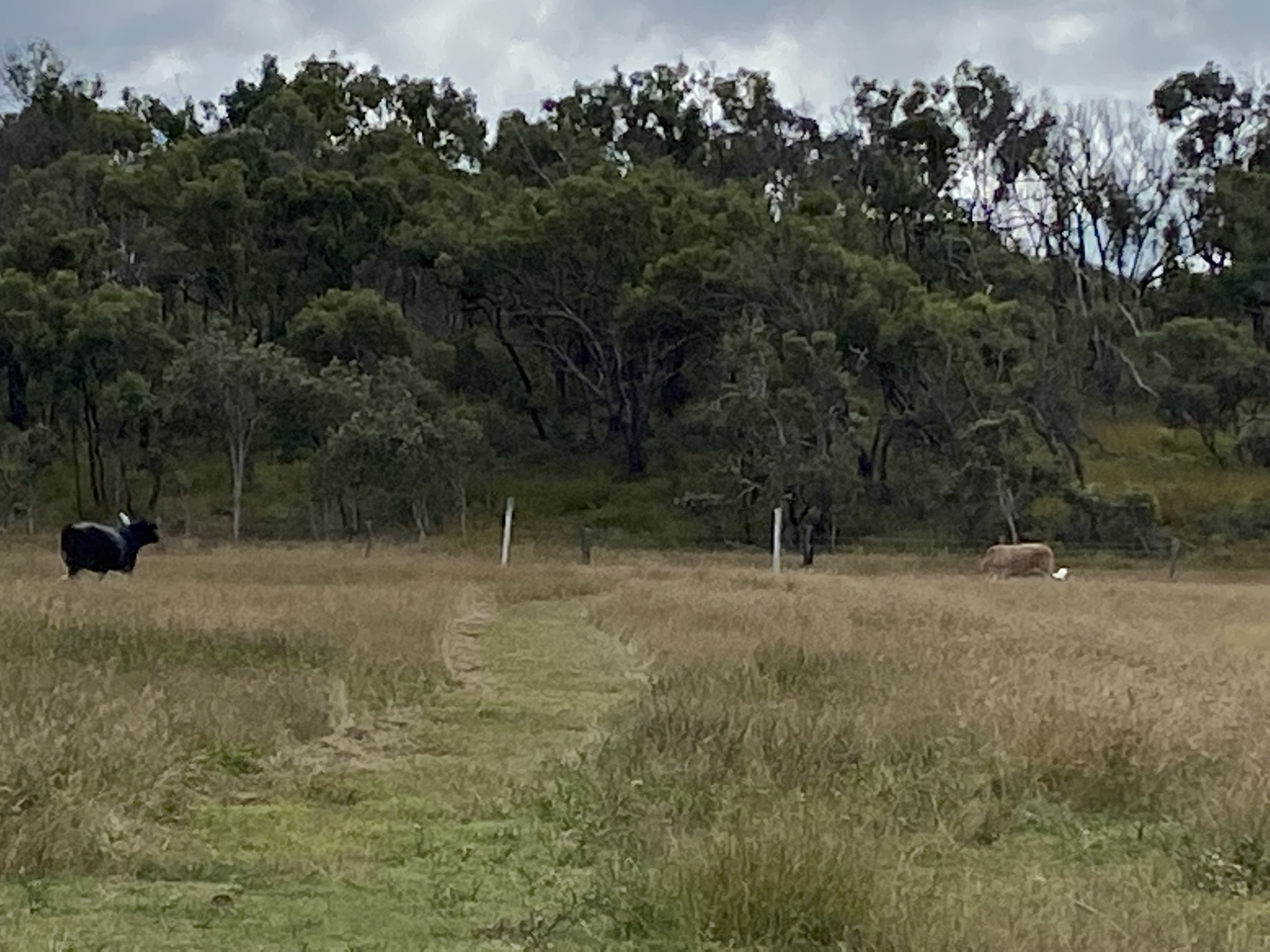 Are You A Big Thinker? Develop Rural Lifestyle Blocks Overlooking The ...