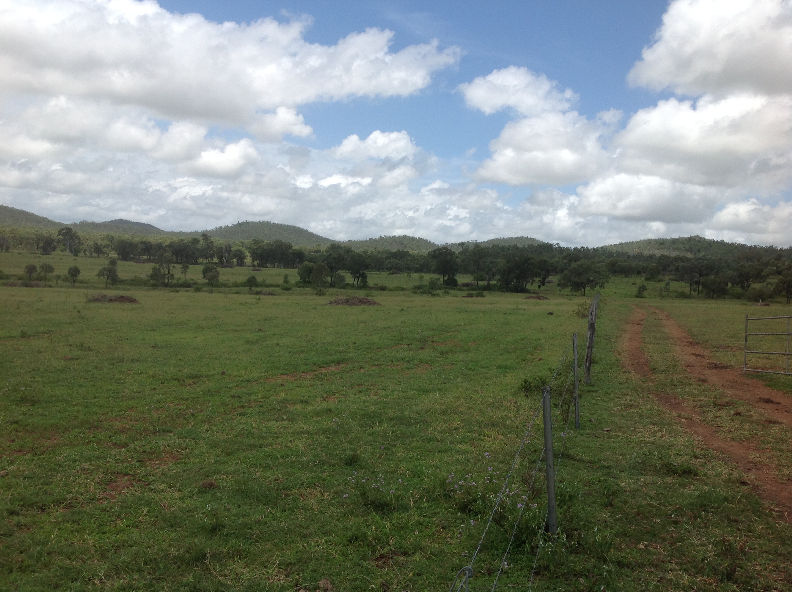 Believe in Love At First Sight! 585 Acres Prestige Property Available ...