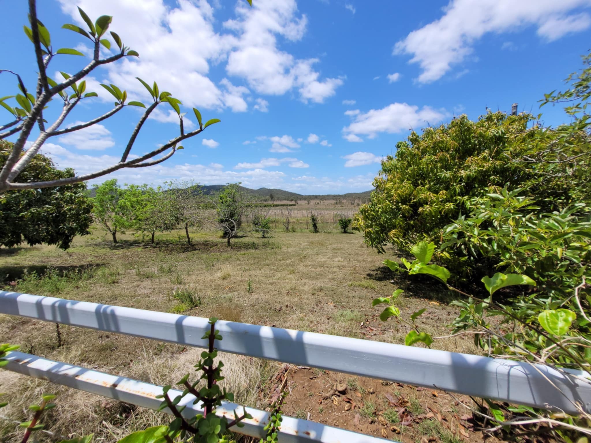 Lovely home on 100 fertile acres (40.01ha) with great water - Alan ...