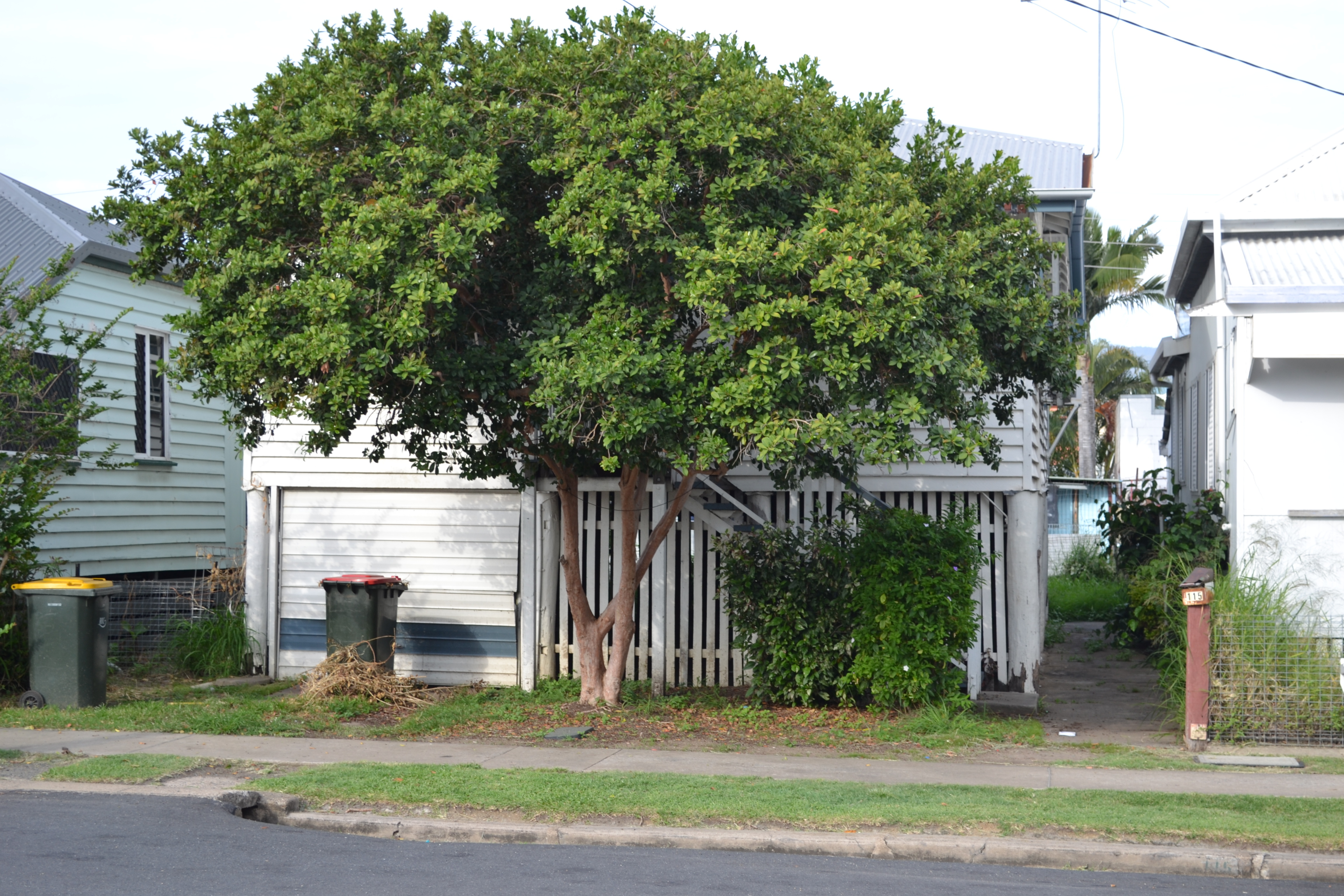 Brilliant Buy Central City Area, Rockhampton - Alan Cornick Real Estate