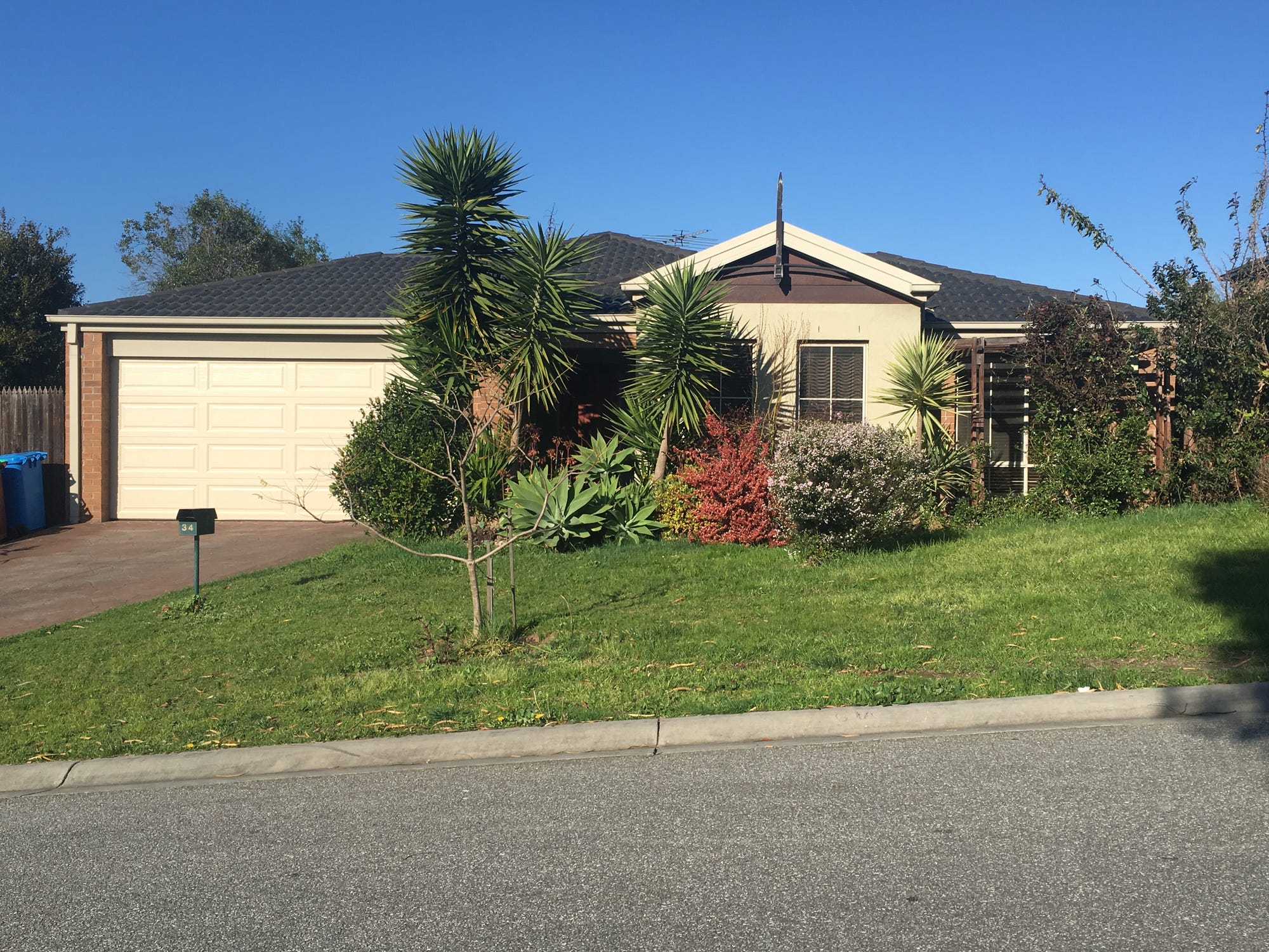 All About Rentals - Timbarra Delight!