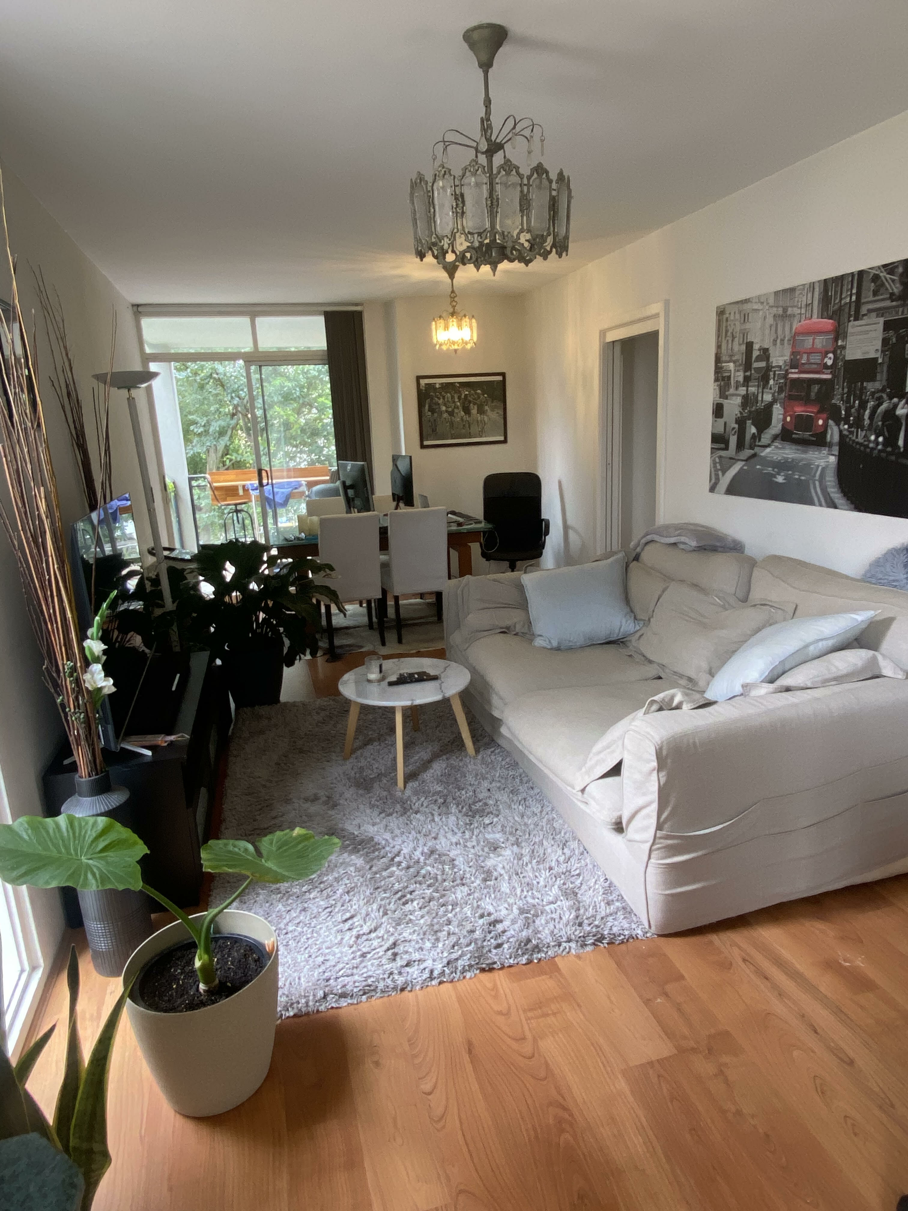 Gefen Group - Eastern Suburbs Real Estate | Buy, Lease, Rent - Bright ...