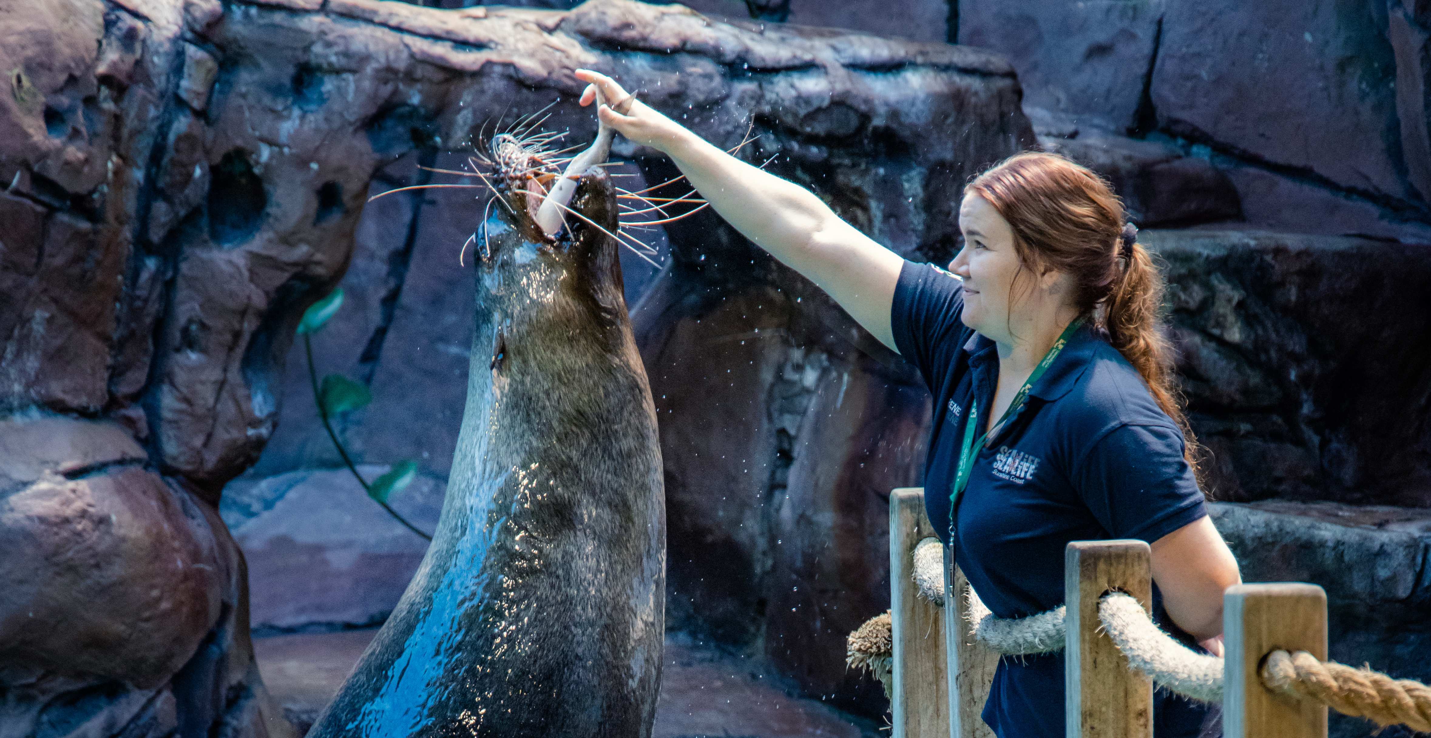 SEA LIFE Sunshine Coast - Code Property Group - Our business is all ...