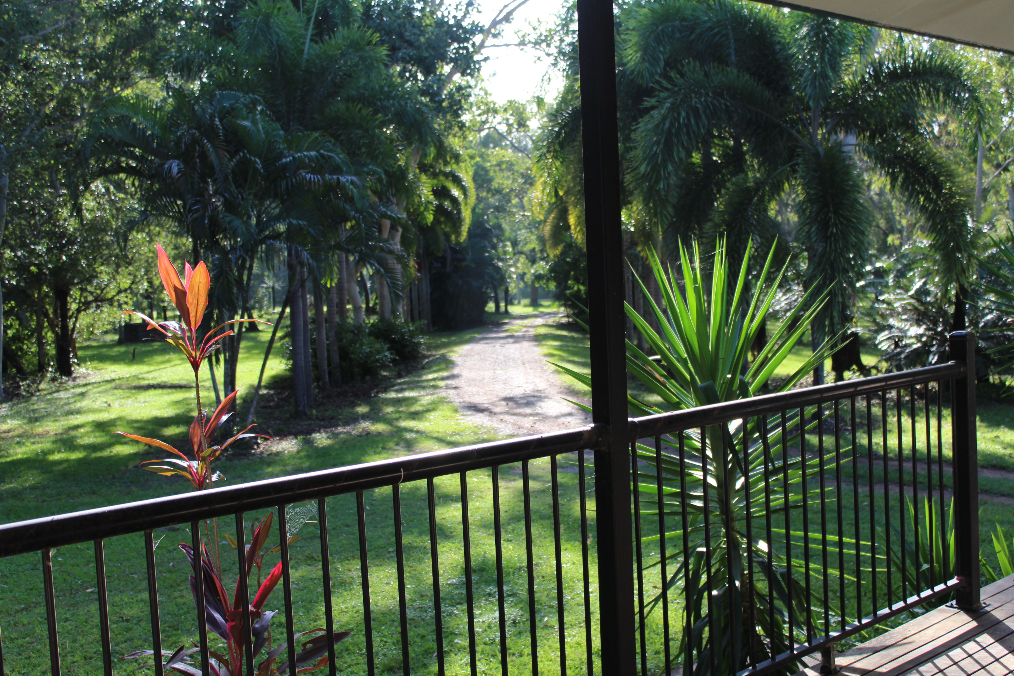 Rural home with 5 bay shed - Cooktown Platinum Realty