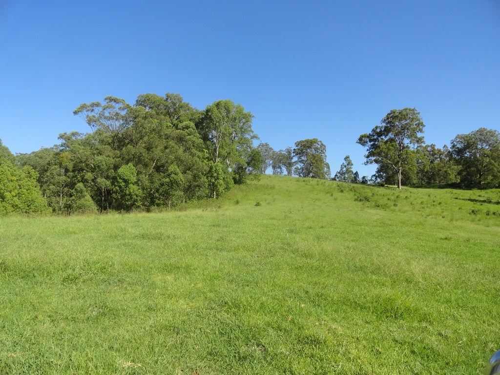 "PETER PAN" - GHINNI GHI 332 ACRES - Kyogle Real Estate