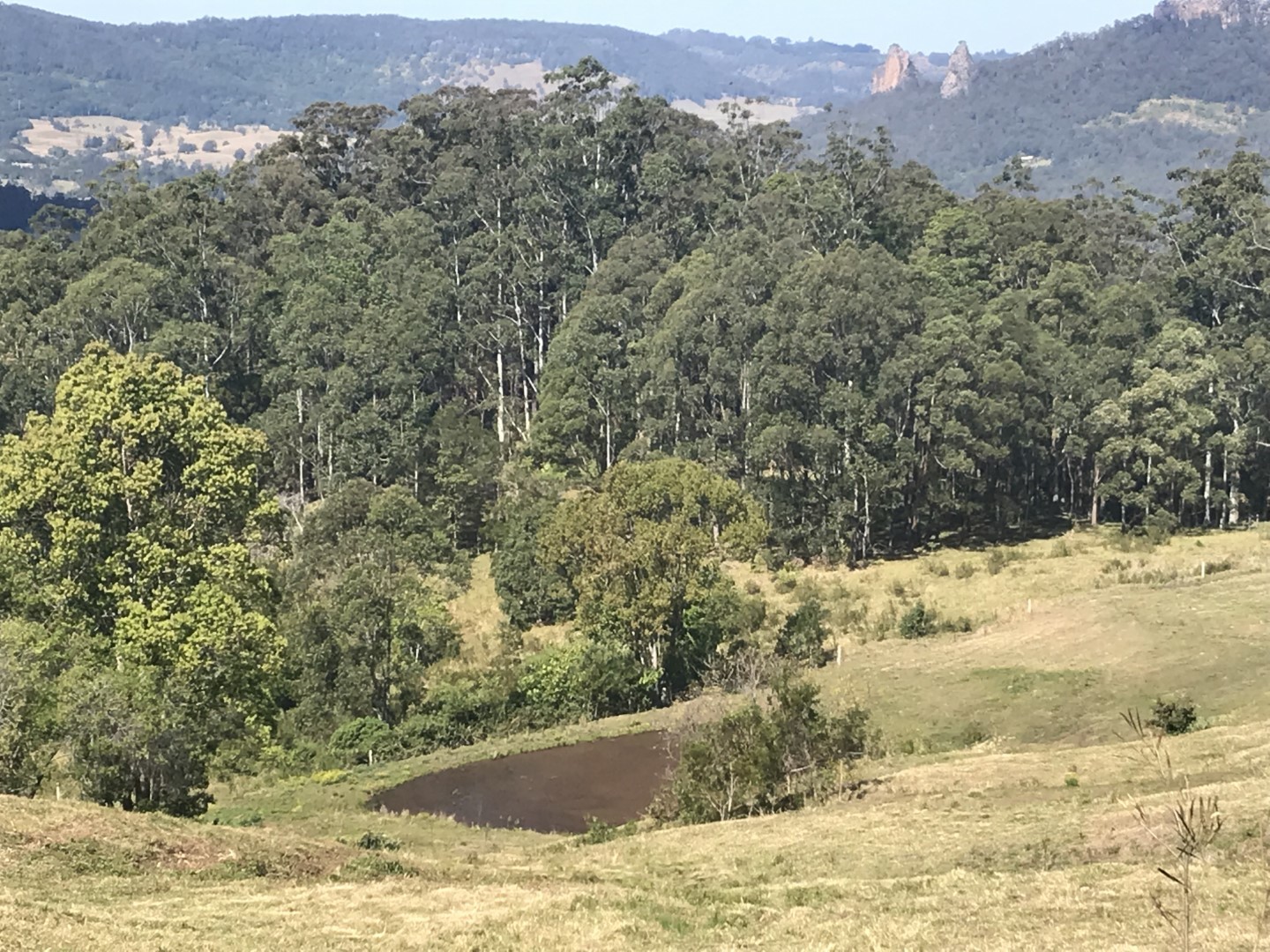 VIEWS OF NIMBIN ROCKS - Kyogle Real Estate