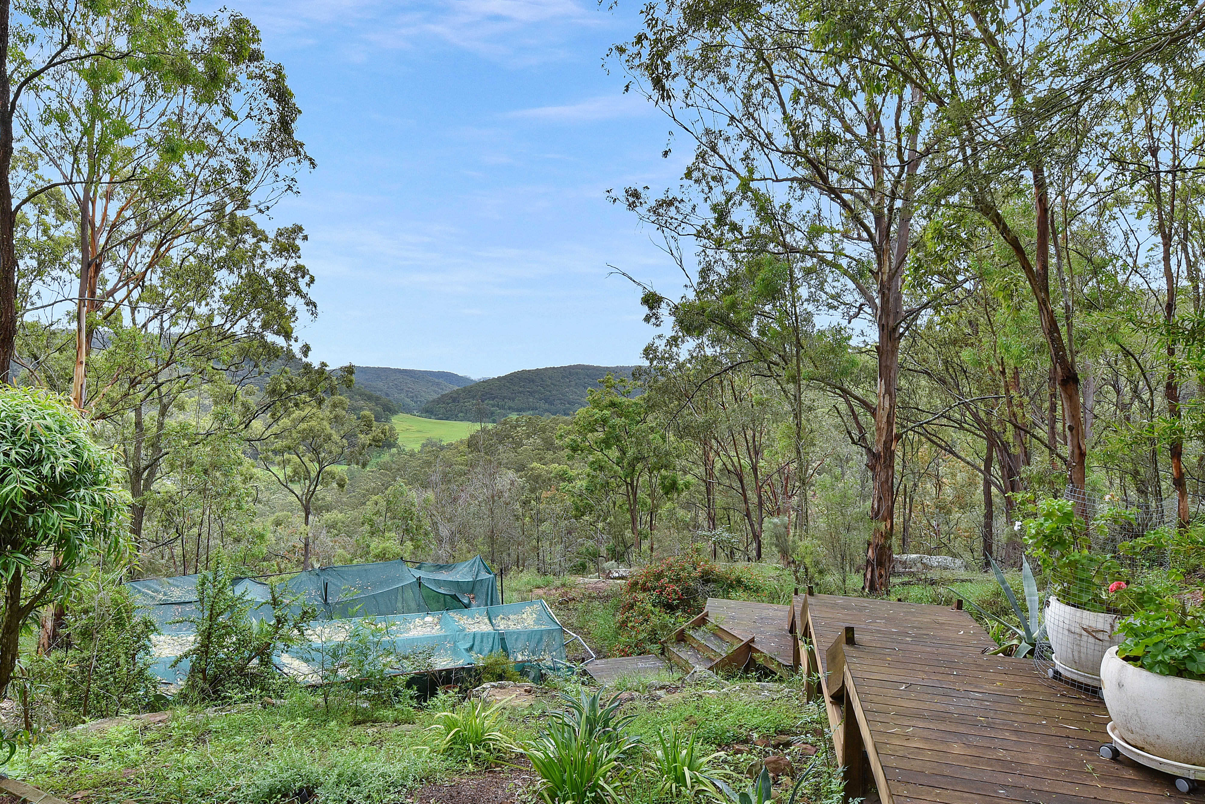 Musgrove Realty - ‘Yellow Billy’ – An Extraordinary Australiana ...