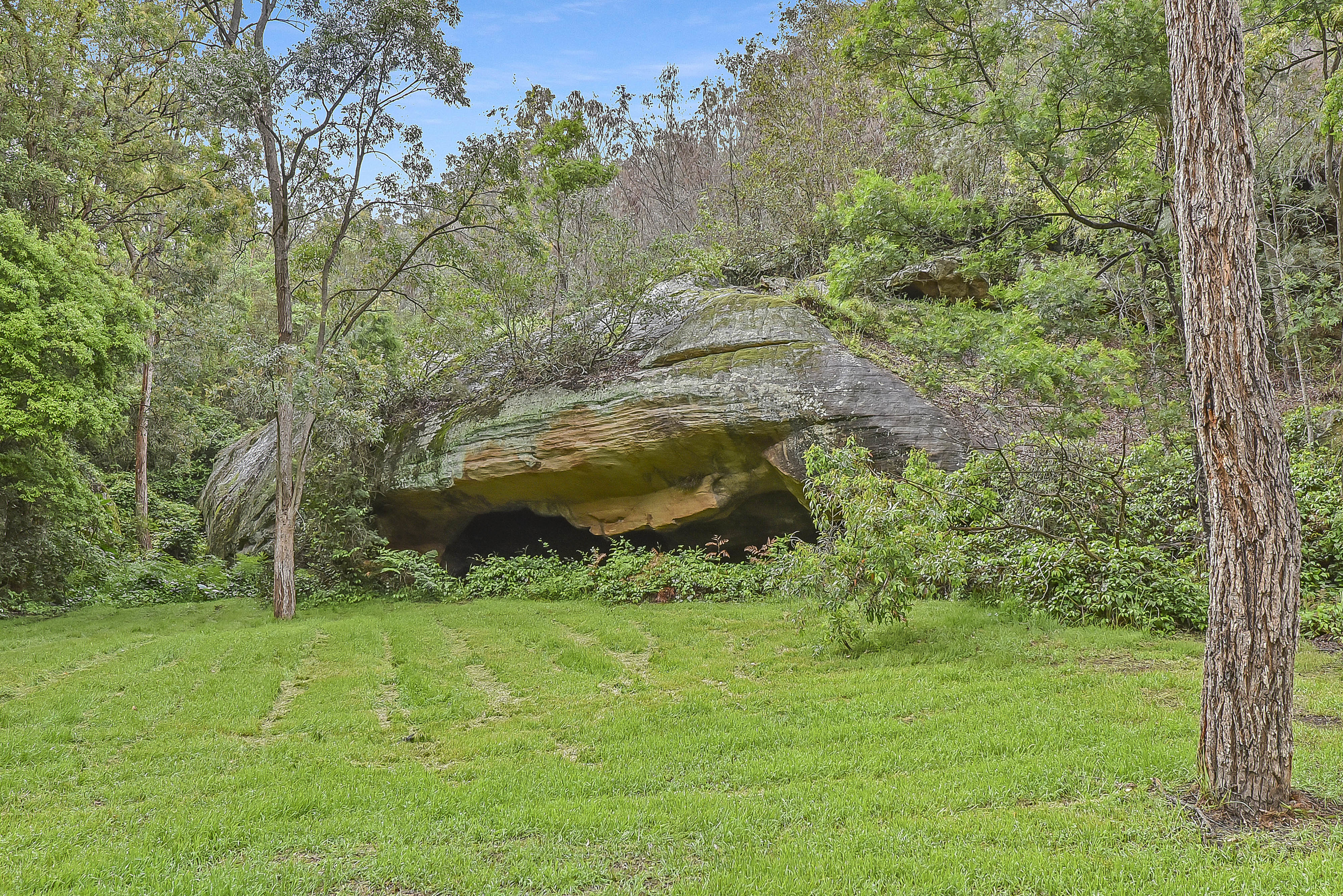 Musgrove Realty - ‘Yellow Billy’ – An Extraordinary Australiana ...