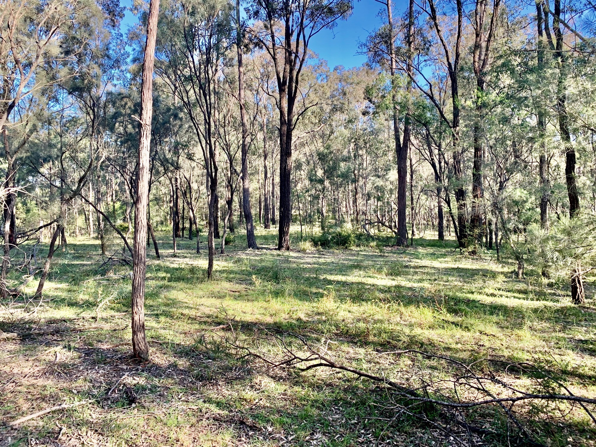 Musgrove Realty - Bush Land Oasis with a View!