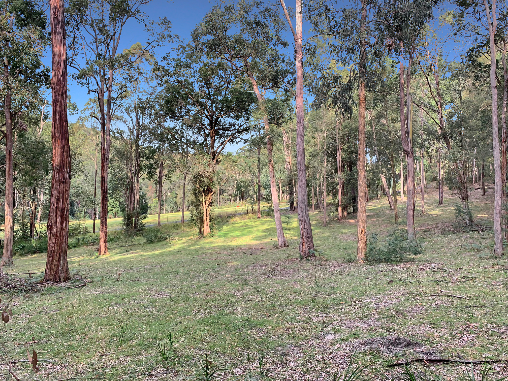Musgrove Realty - ‘Brumby Hill’ – Sensational Native Bush Land with ...