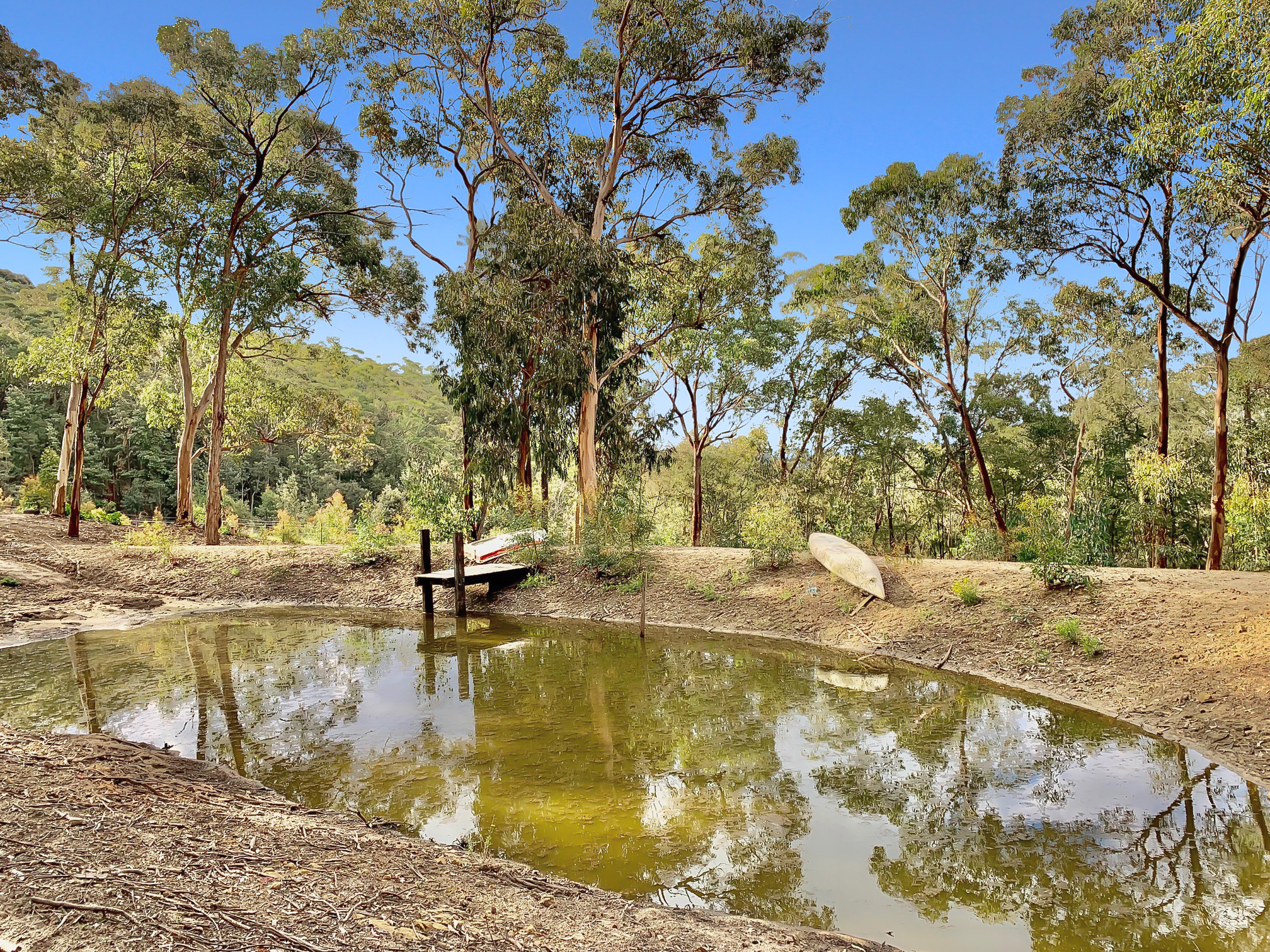 Musgrove Realty - ‘Brumby Hill’ – Sensational Native Bush Land with ...