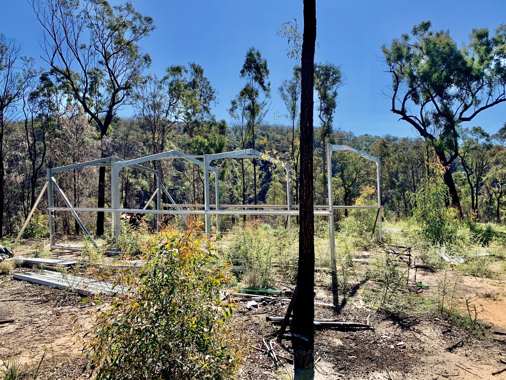 Musgrove Realty - 'Grass Tree Heaven'