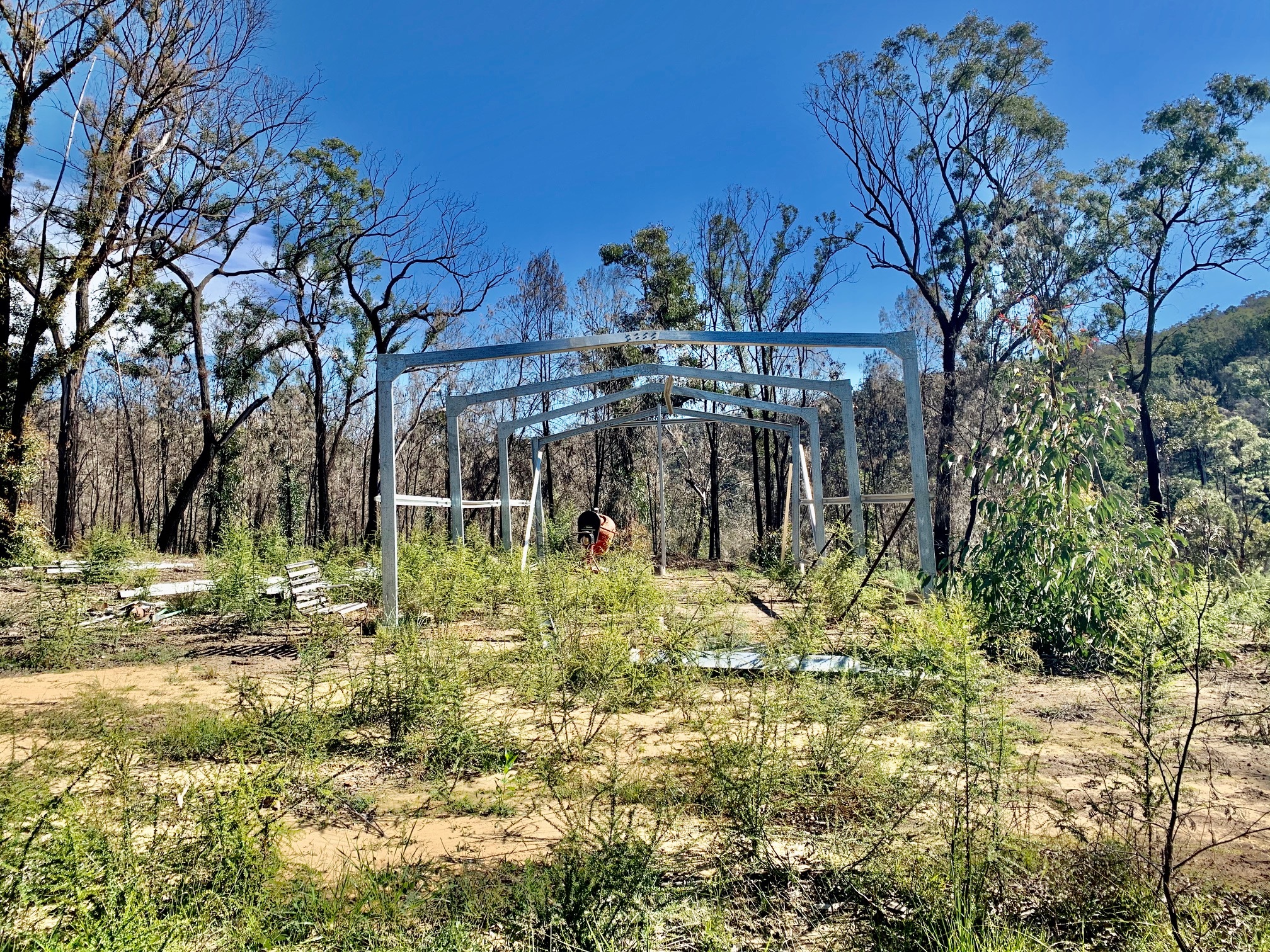 Musgrove Realty - 'Grass Tree Heaven'