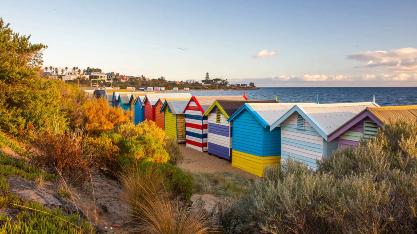 Exploring the Iconic Brighton Beach Boxes - The Premier Choice in ...