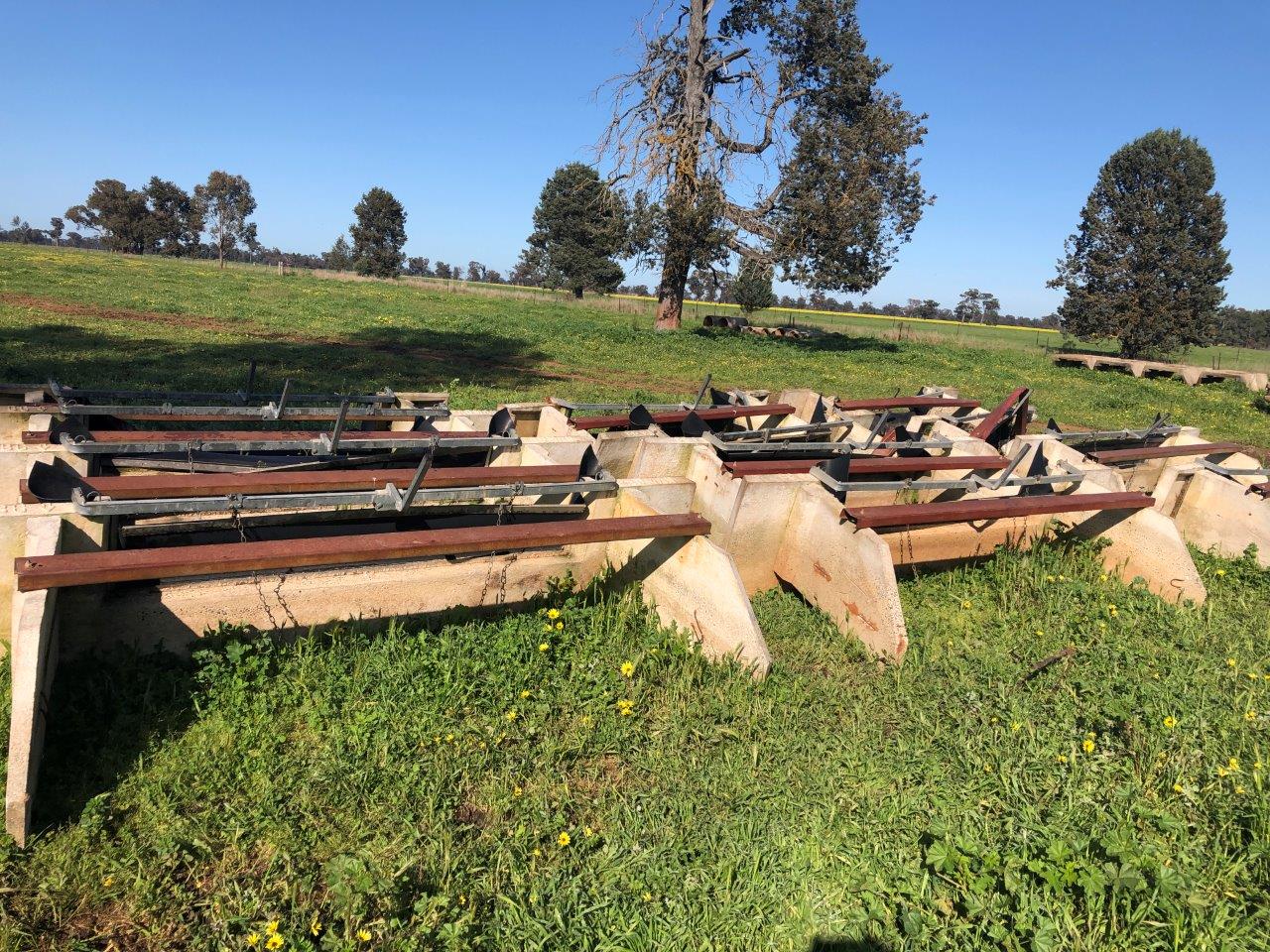 Clearing Sales - Paull & Scollard Nutrien & Nutrien Ivone Agencies