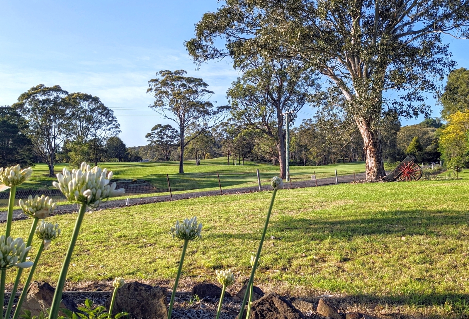 WHEN POSITION COUNTS - JARVISFIELD ACRE - SPLENDID ELEMENTS - Reside ...