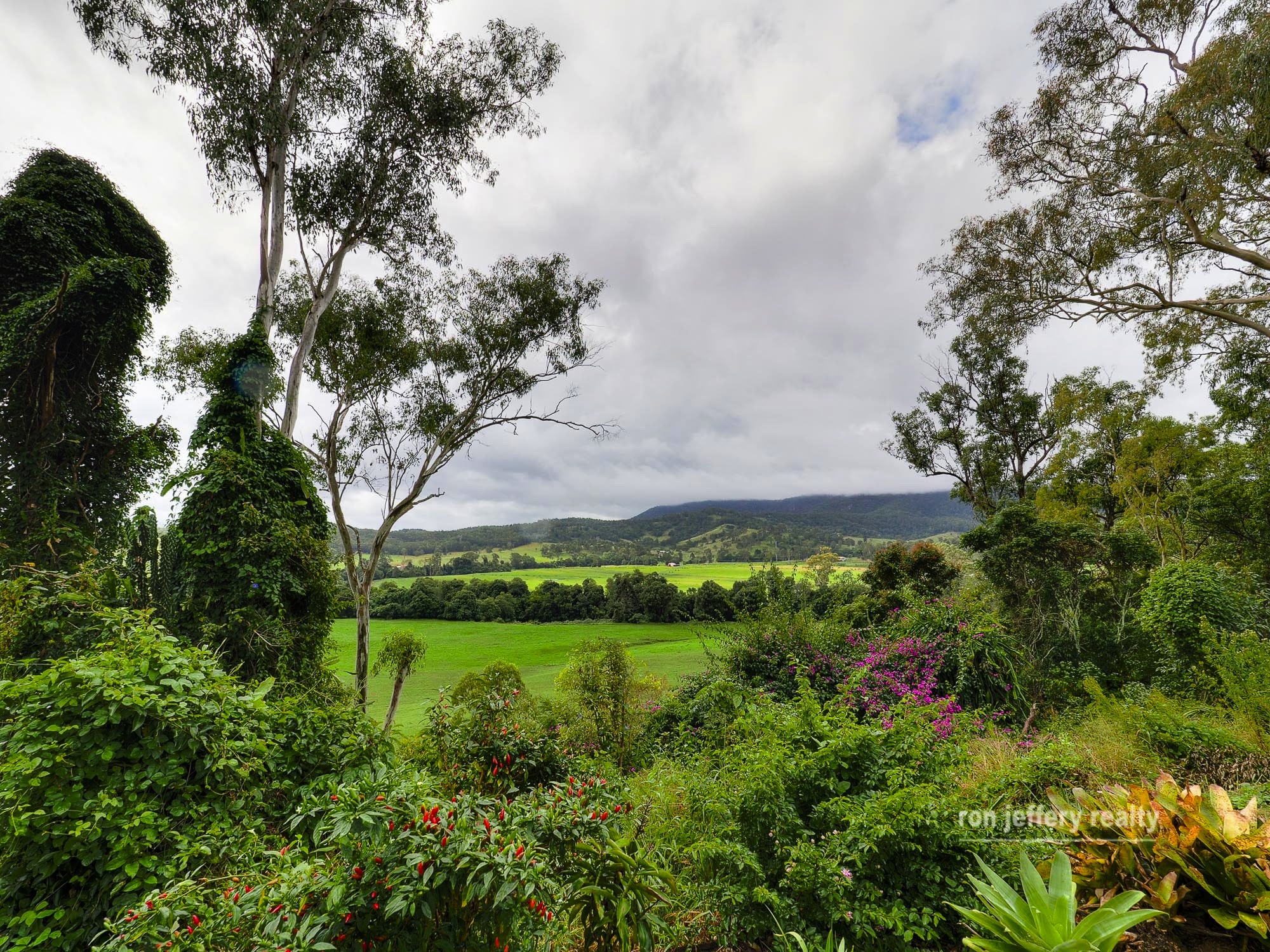Ron Jeffery Realty - COMMANDING VIEW OF THE OBI OBI VALLEY!