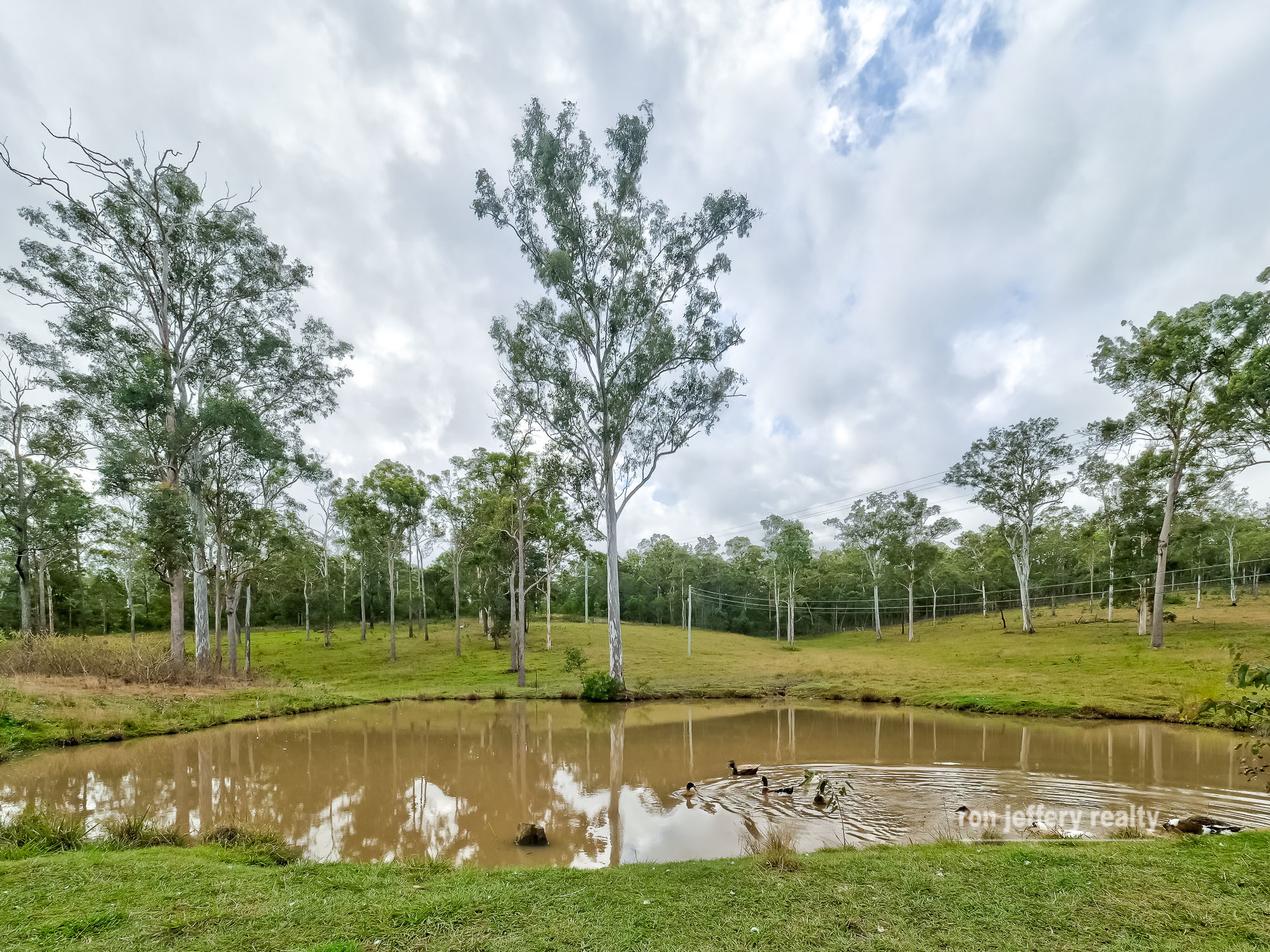 Ron Jeffery Realty - TWO HOMES - 78 ACRES - BELLI PARK